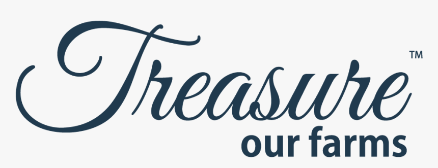 Treasure Word In Different Fonts, HD Png Download , Transparent Png ...