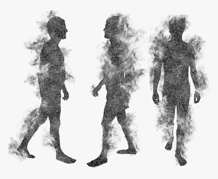 Human Shadow Transparent, HD Png Download , Transparent Png Image - PNGitem