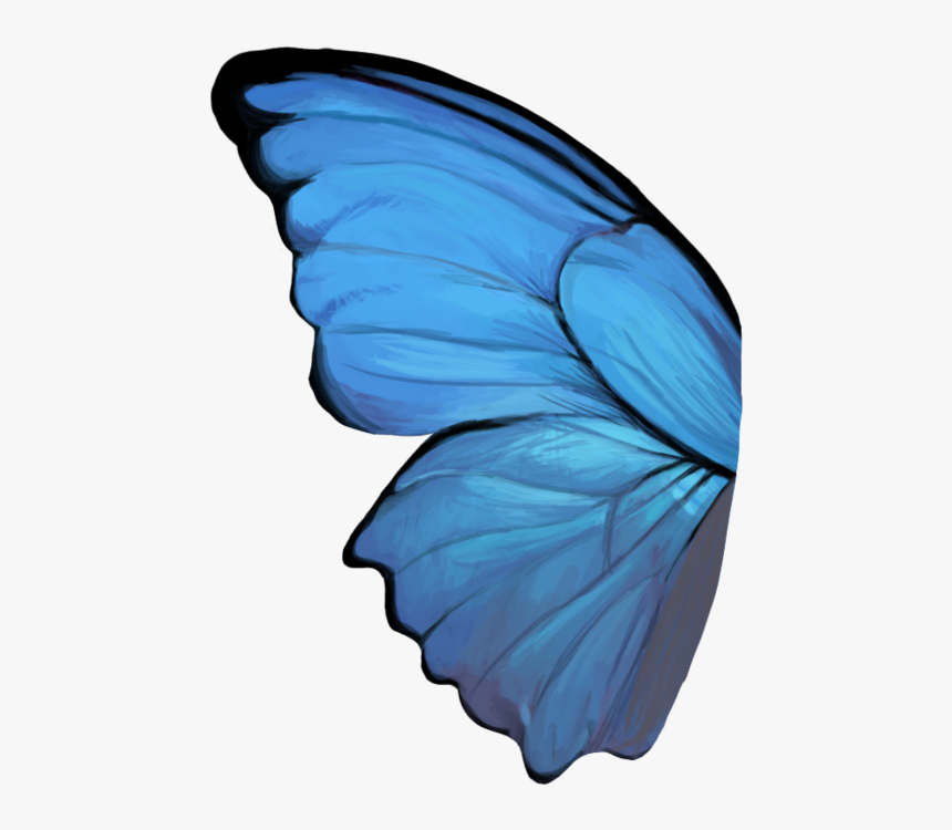 Butterfly Wing - Blue Butterfly Wings Png, Transparent Png ...