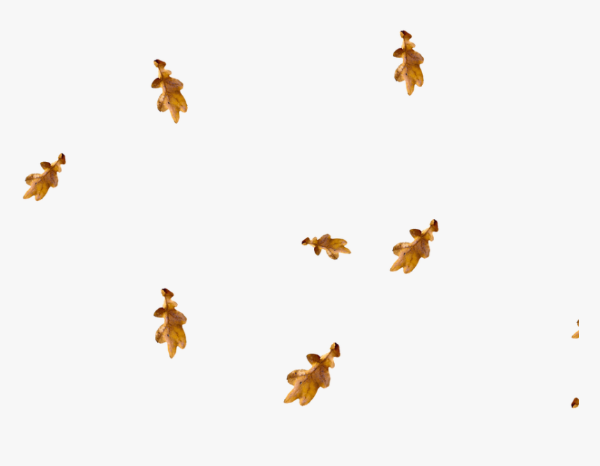 Free Falling Leaves Overlay, HD Png Download , Transparent Png Image ...