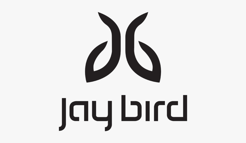 Jay Bird - Jaybird, HD Png Download , Transparent Png Image - PNGitem