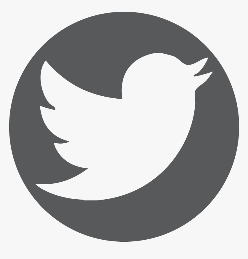 Logo Twitter 2019 Png, Transparent Png , Transparent Png Image - PNGitem
