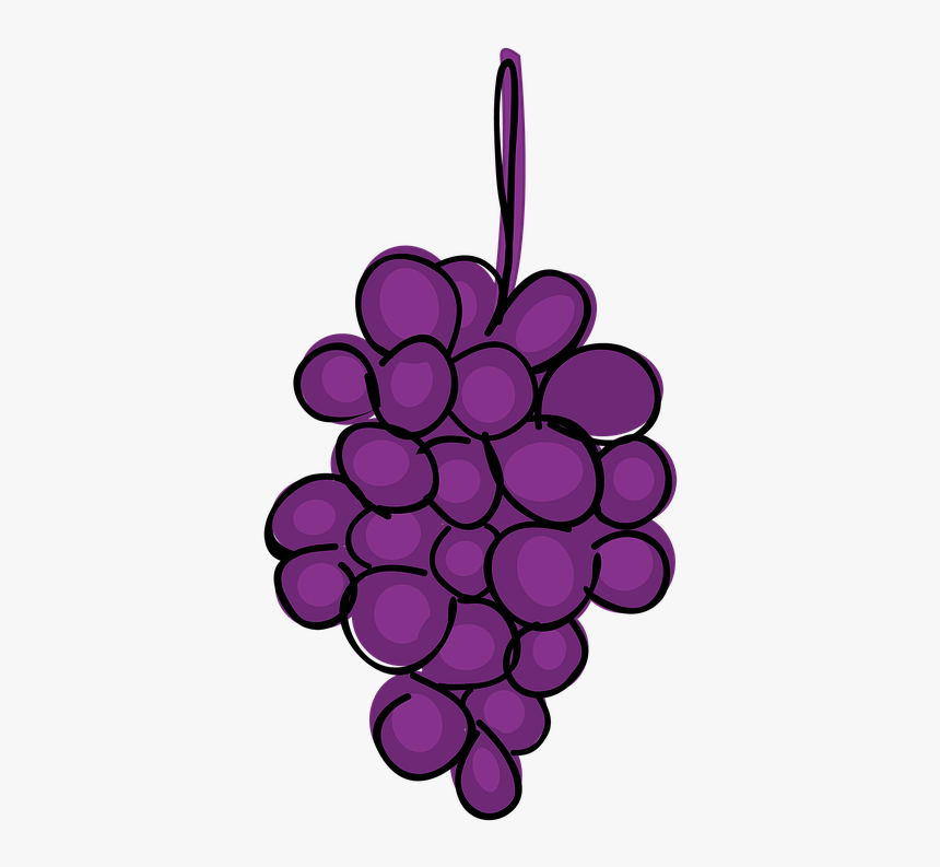 Anggur Kartun, HD Png Download , Transparent Png Image - PNGitem