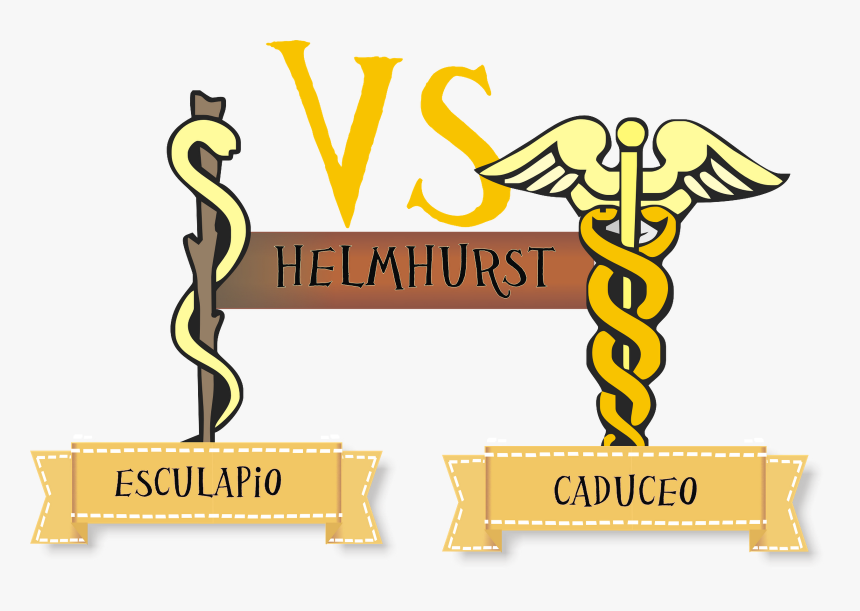 Symbol Of Doctorate Degree, HD Png Download , Transparent Png Image ...