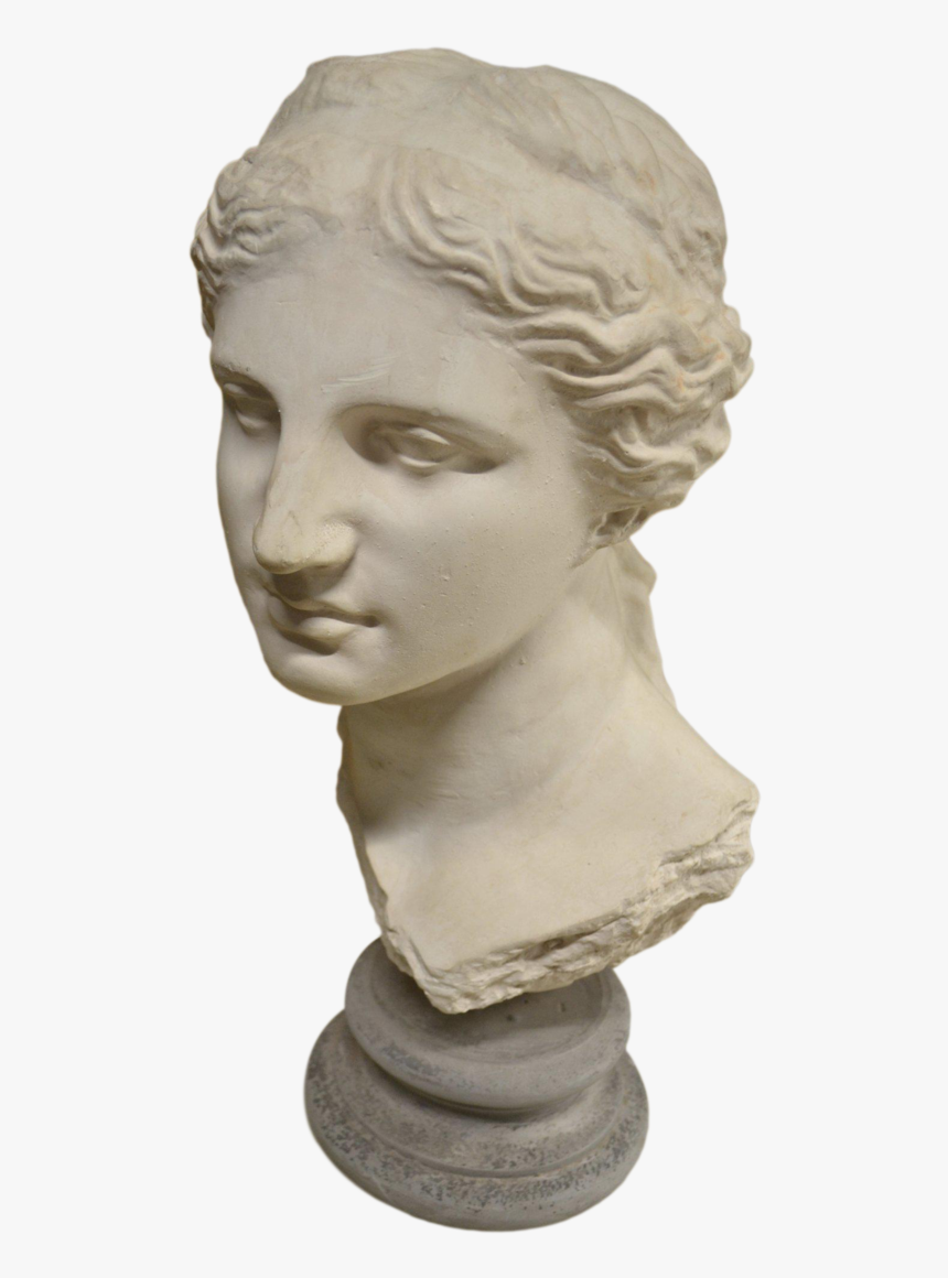 Bust, HD Png Download , Transparent Png Image - PNGitem