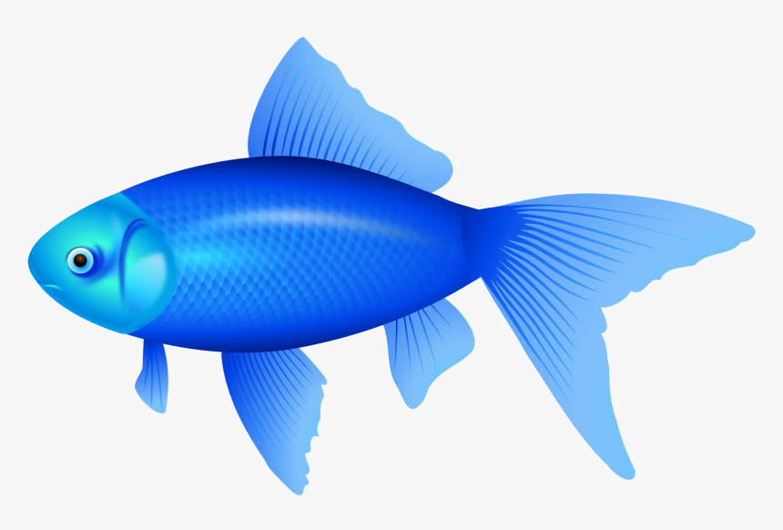 Blue Fish Png Clipart Image - Blue Fish Clipart, Transparent Png ...