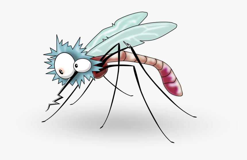 Mosquito Insect Clip Art - Clipart Transparent Background Mosquito, HD ...