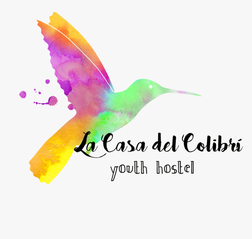 Transparent Colibri Png - Colibri Hostel, Png Download , Transparent ...