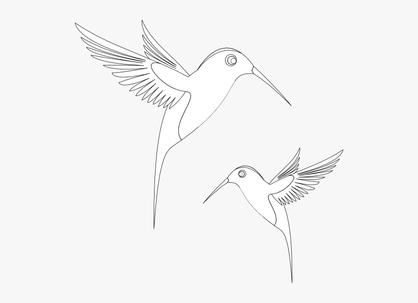 Colibri Birds Black White Line Art Coloring Book Colouring - Coloring ...