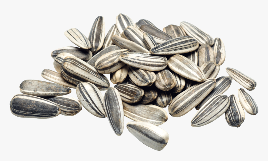 Sunflower Seeds Png, Transparent Png , Transparent Png Image - PNGitem