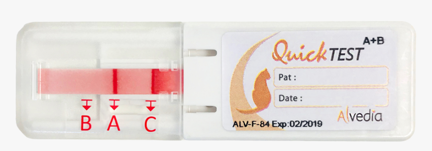 Bt Test, HD Png Download , Transparent Png Image - PNGitem