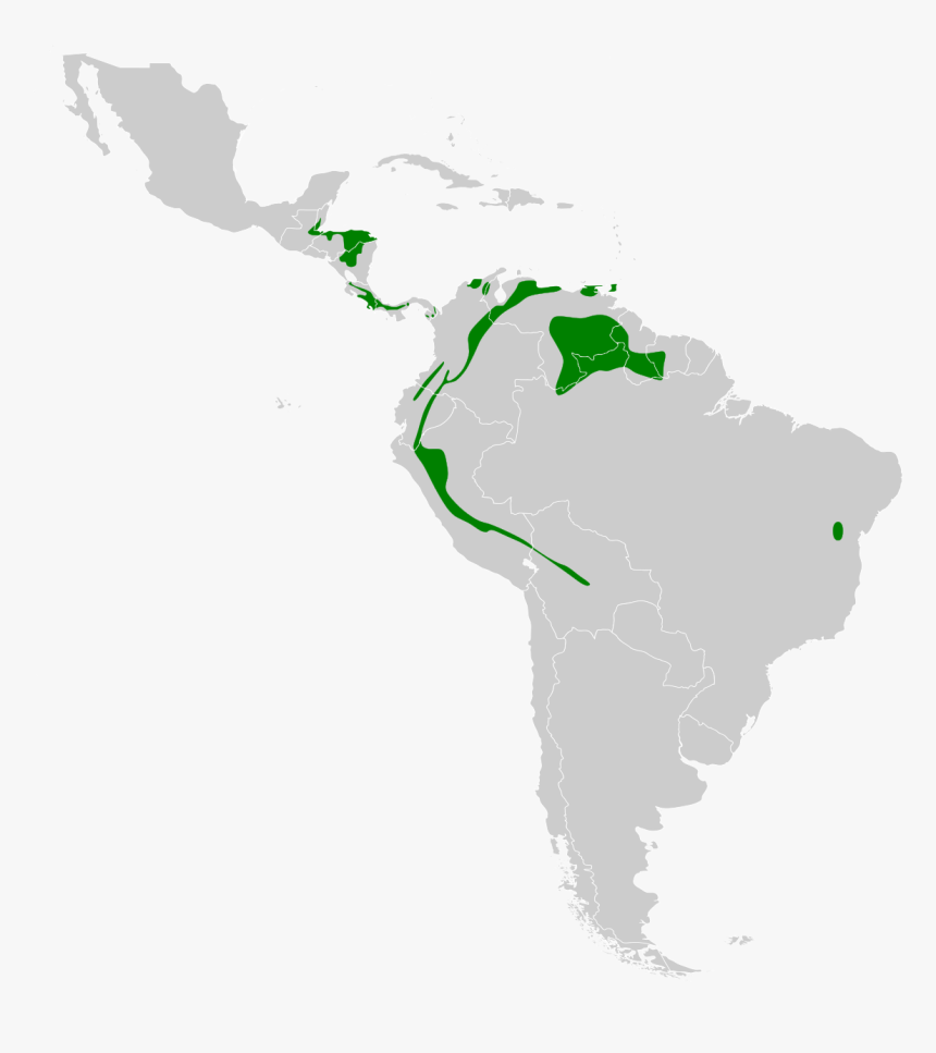 Latin America Map Svg, HD Png Download , Transparent Png Image - PNGitem