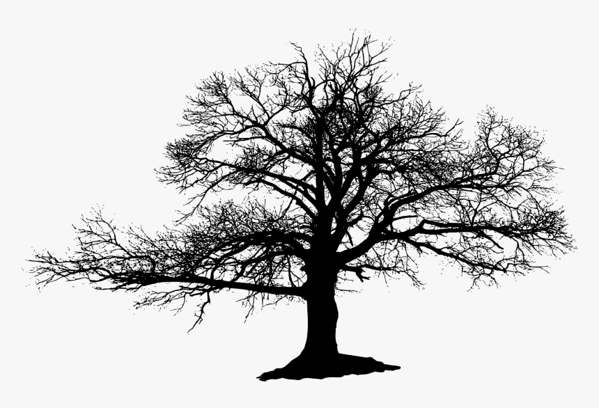 The Lonely Tree Silhouette - Burned Tree Black And White, HD Png ...