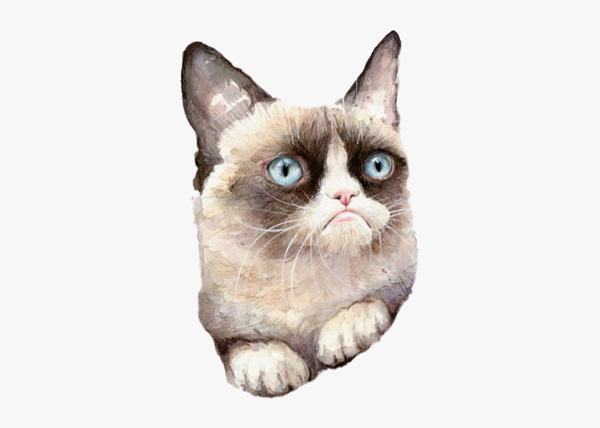 Grumpy Cat Png Clipart - Grumpy Cat Watercolor, Transparent Png ...