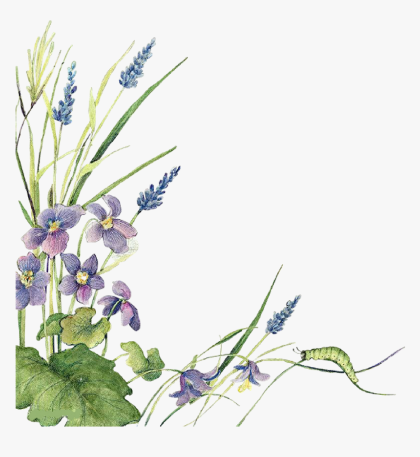 Ftestickers Watercolor Flowers Border Lavender - Watercolor Sage Floral ...