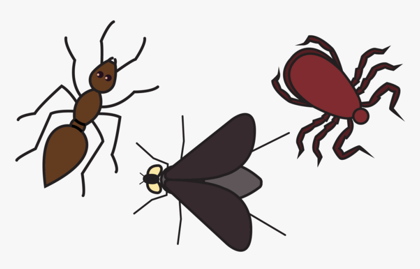 Bad Bugs 2, HD Png Download , Transparent Png Image - PNGitem