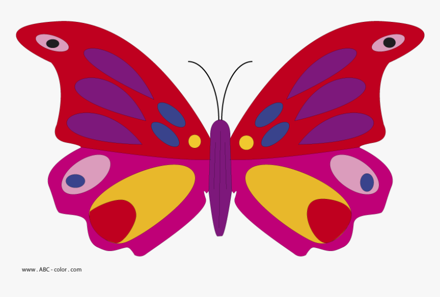 Butterfly Raster Picturet - Butterfly Bitmap, HD Png Download ...