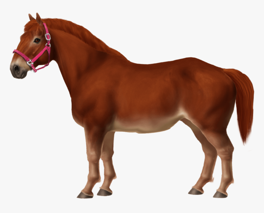 Transparent Pony Png - Horse, Png Download , Transparent Png Image ...