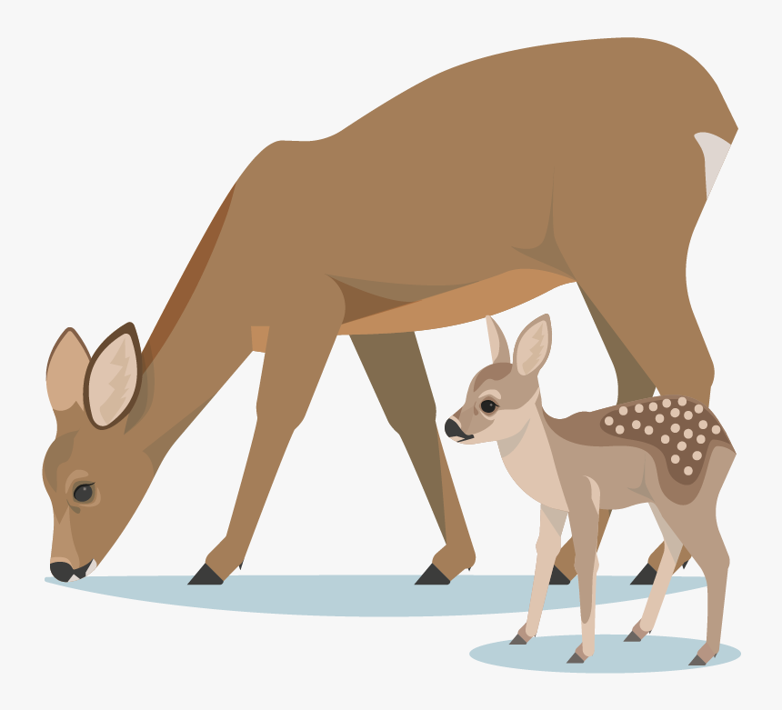 Avatar - Deer Family Cartoon Png, Transparent Png , Transparent Png ...