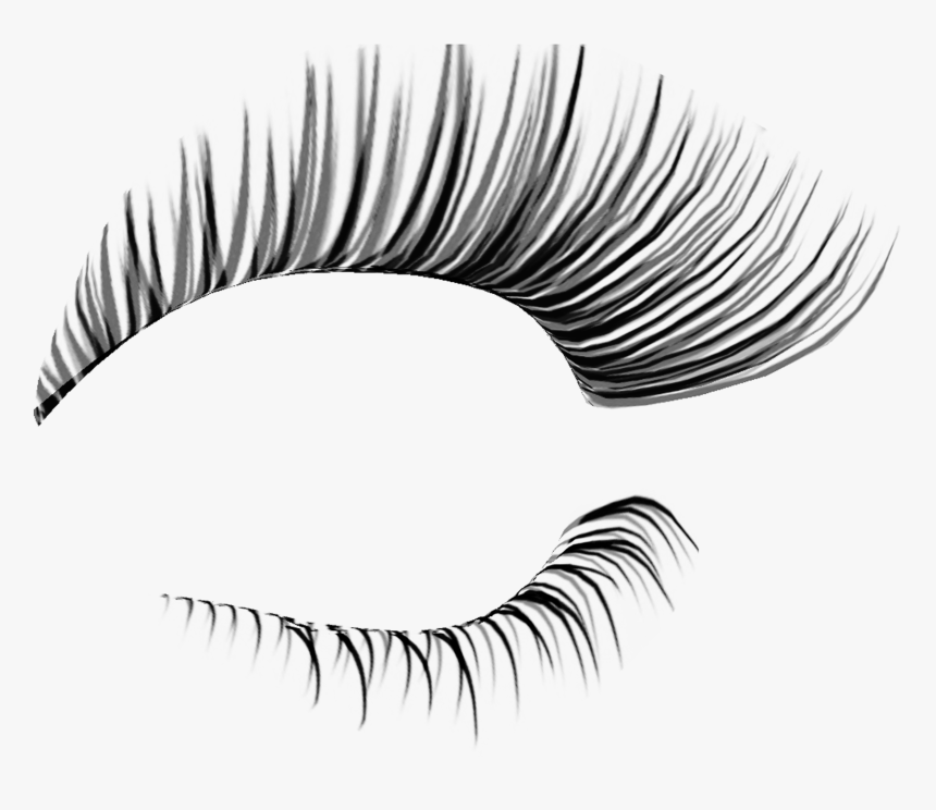 #eyelashes - Eyelashes Transparent Background, HD Png Download ...