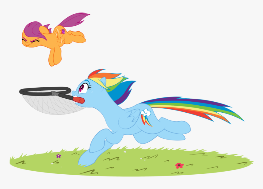 Transparent Butterfly Net Png - Cartoon, Png Download , Transparent Png ...