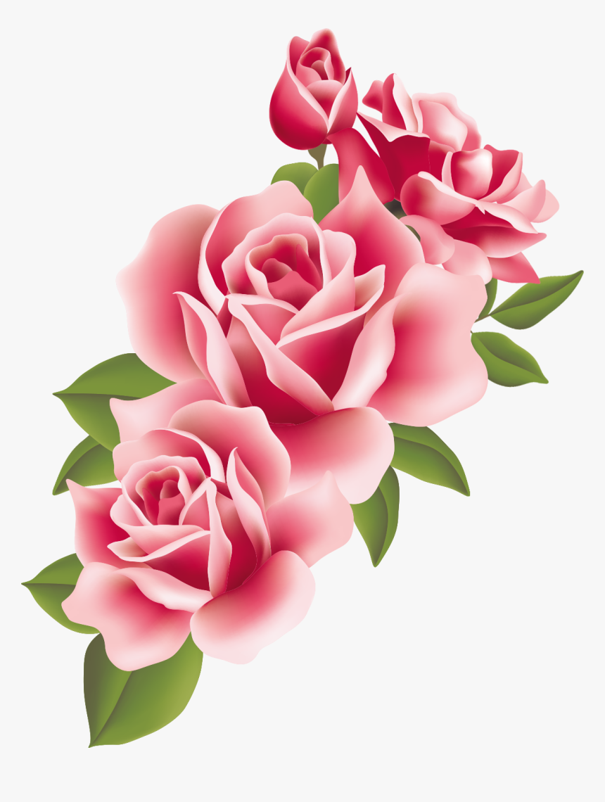 Http - //store1 - Up 00 - Com/2016 07/ - Transparent - Transparent Pink ...