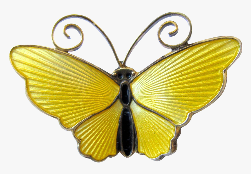 Swallowtail Butterfly, HD Png Download , Transparent Png Image - PNGitem