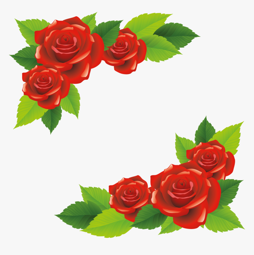 Climbing Roses Clipart Images