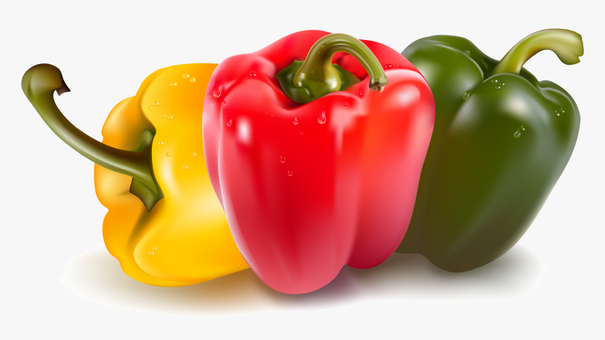 Vegetables Vector Free, HD Png Download , Transparent Png Image - PNGitem