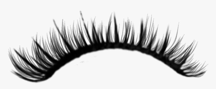 False Eyelashes Png