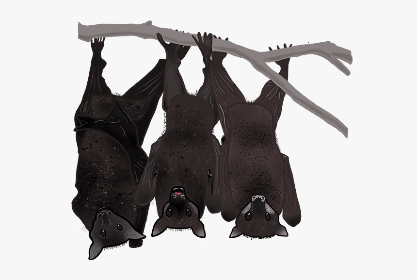 Bat Animated Gif, HD Png Download , Transparent Png Image - PNGitem