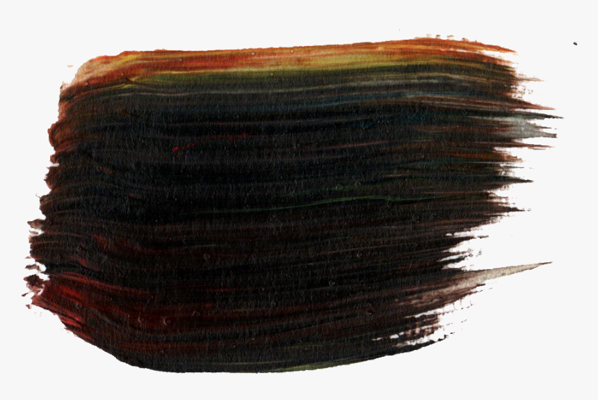 Baltic Clam, HD Png Download , Transparent Png Image - PNGitem