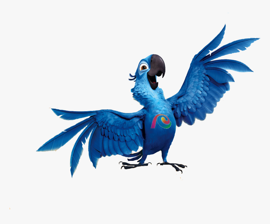 Bird Clipart Rio - Rio Png, Transparent Png , Transparent Png Image ...