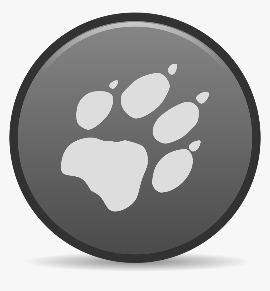 Vector Jack Wolfskin Logo, HD Png Download , Transparent Png Image ...