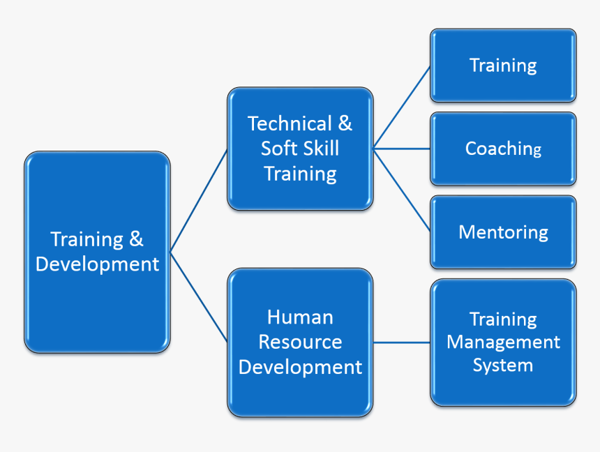 Training And Development Models, HD Png Download , Transparent Png ...