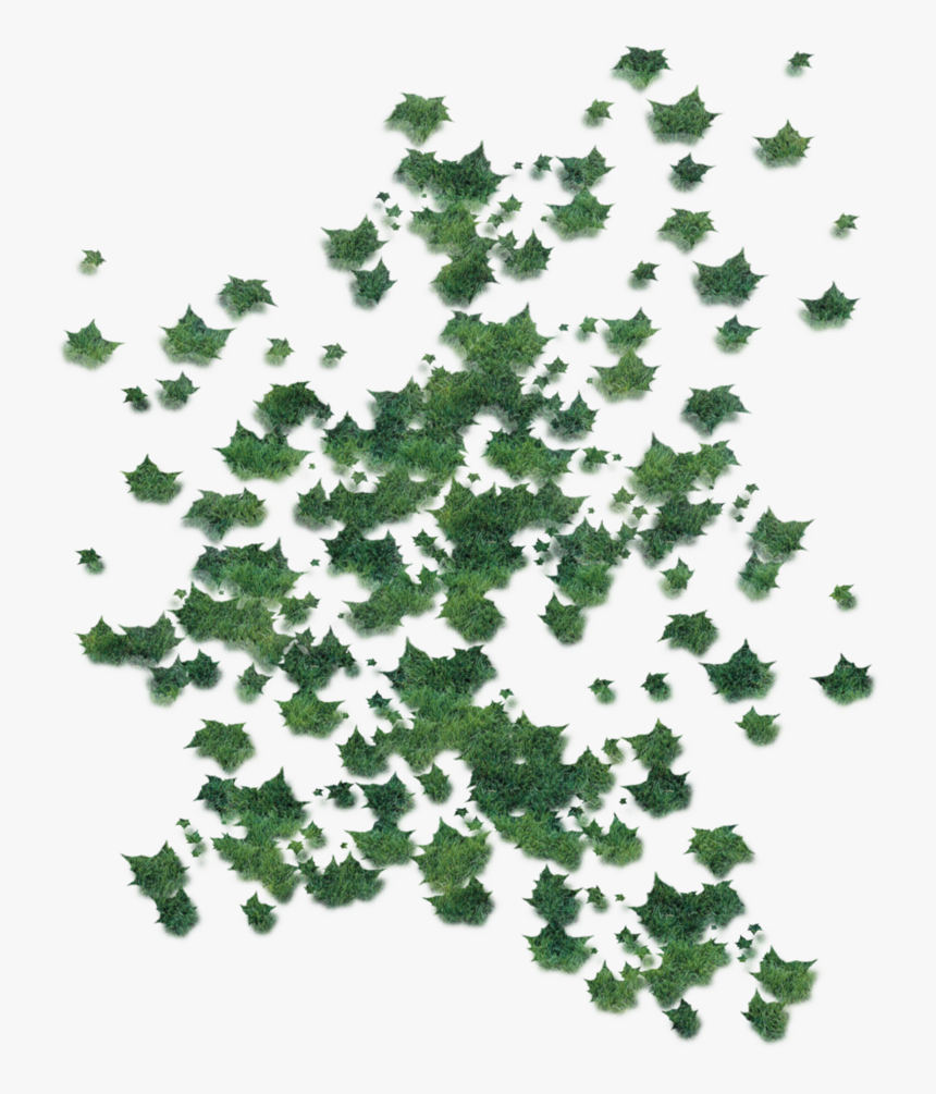 Green Fallen Leaves Png, Transparent Png , Transparent Png Image - PNGitem