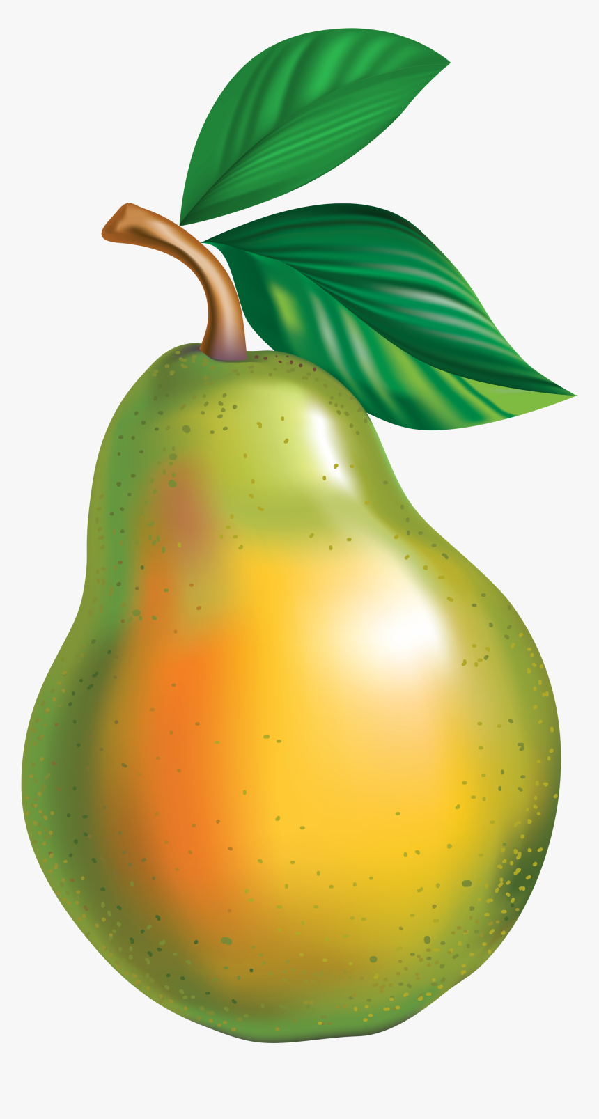 28 Collection Of Fruit Clipart No Background - Transparent Pear Clipart ...
