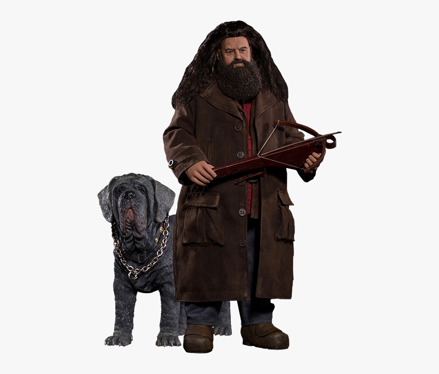 Hagrid Png, Transparent Png , Transparent Png Image - PNGitem