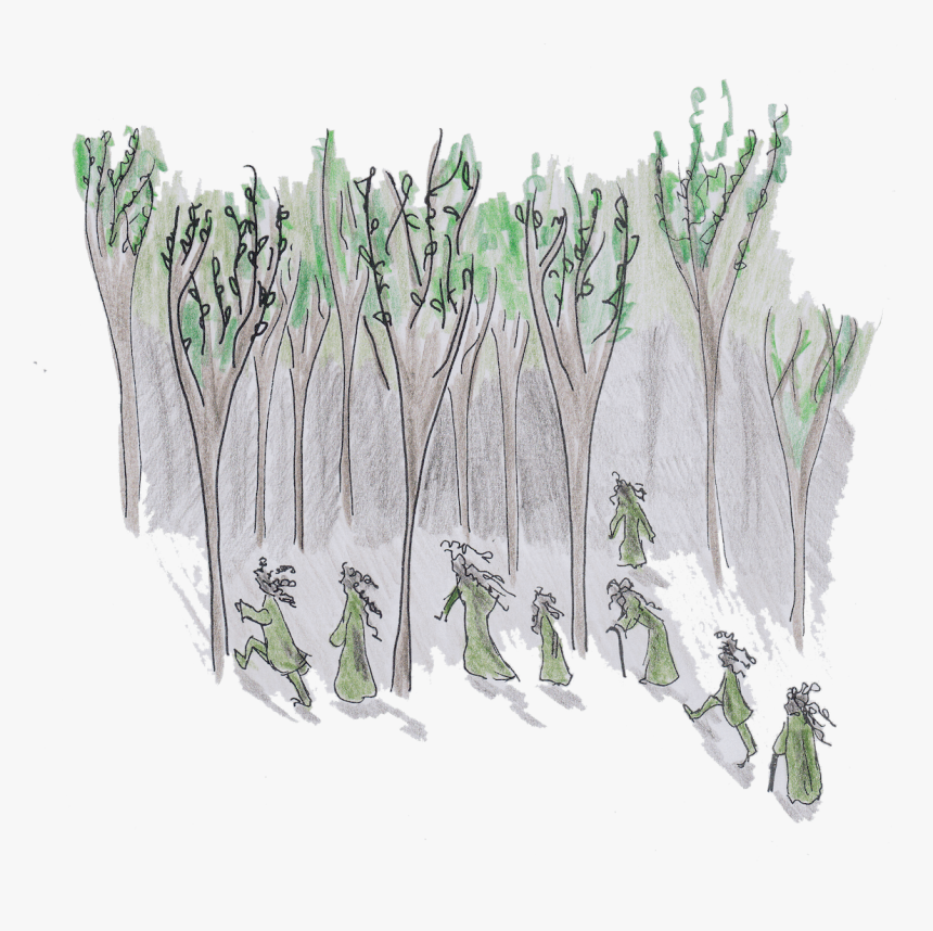 Tree Spirits Illustration - Sketch, HD Png Download , Transparent Png ...