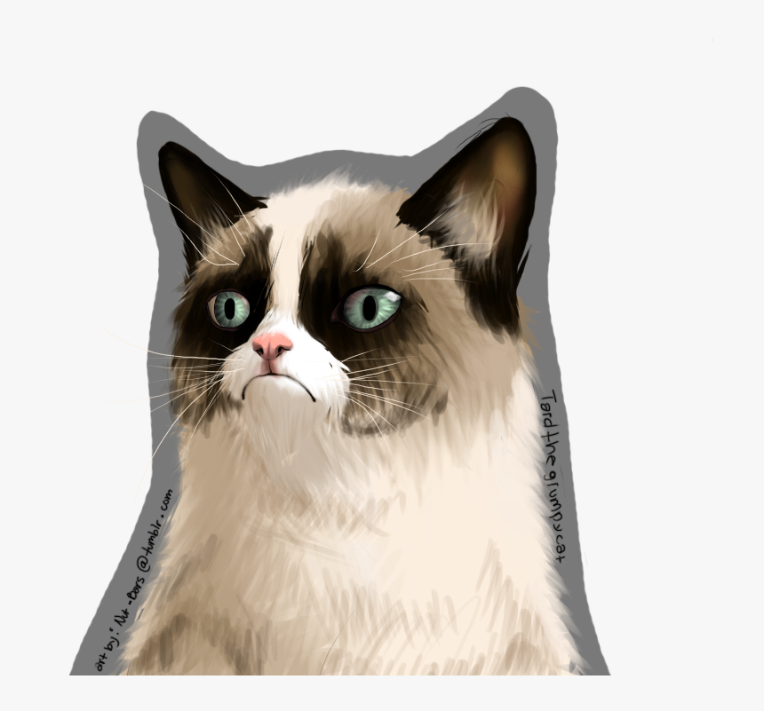Transparent Grumpy Cat, HD Png Download , Transparent Png Image - PNGitem