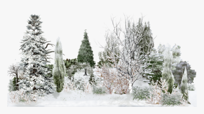 Snow, HD Png Download , Transparent Png Image - PNGitem