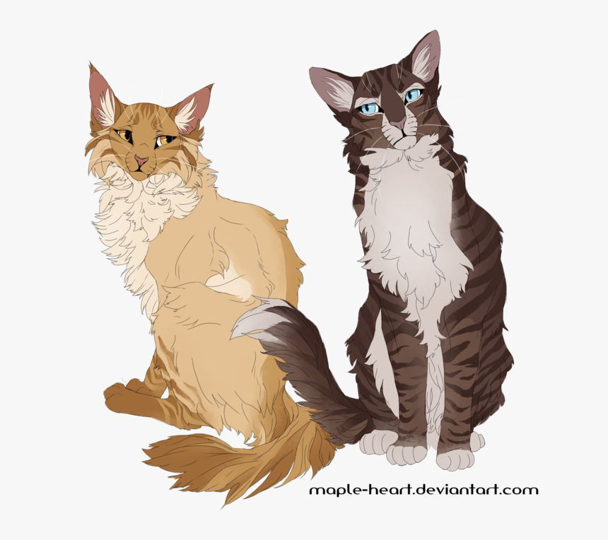 Warrior Cats Maine Coon, HD Png Download , Transparent Png Image - PNGitem