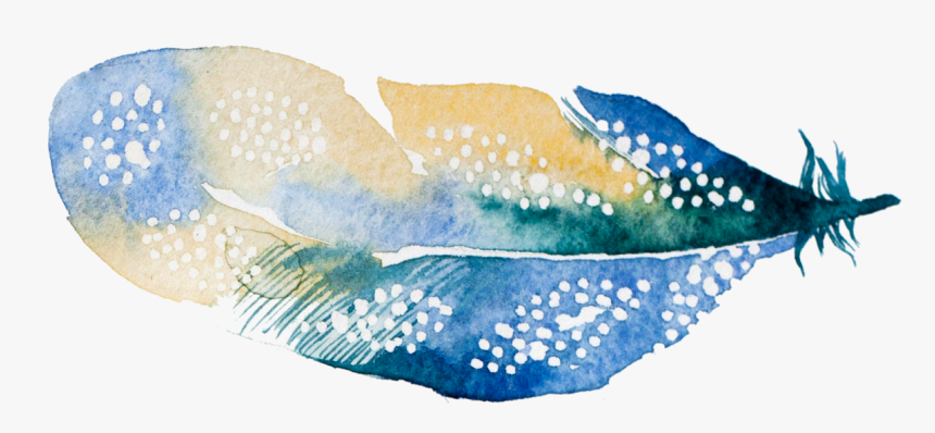 Blue Green Feather - Visual Arts, HD Png Download , Transparent Png ...