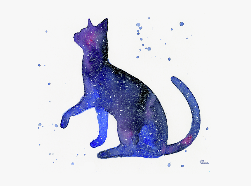 Galaxy Cat, HD Png Download , Transparent Png Image - PNGitem