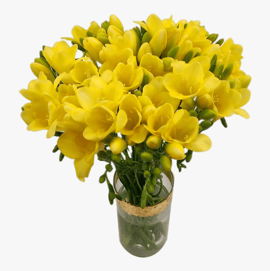 Bouquet Of Yellow Freesias - Freesia Flower, HD Png Download ...