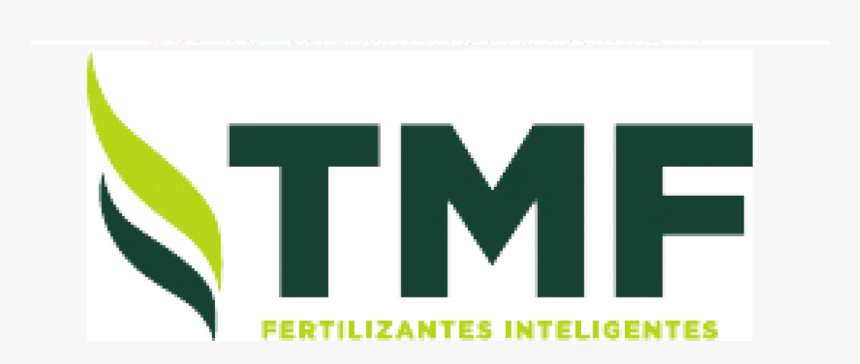 Tmf - Tree, HD Png Download , Transparent Png Image - PNGitem