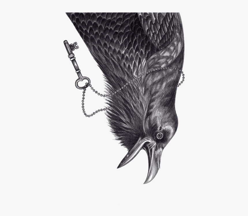 Tree And Ravens Drawing, HD Png Download , Transparent Png Image - PNGitem
