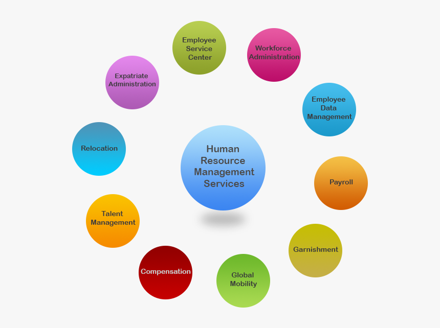 Human Resource Management Life Cycle, HD Png Download , Transparent Png ...