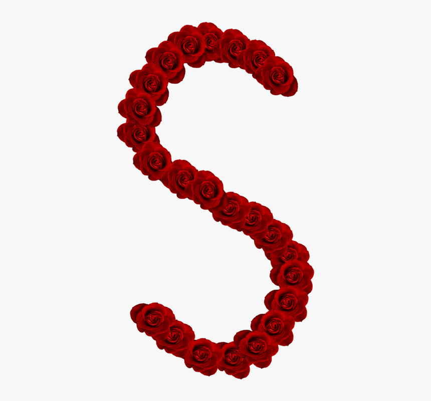 Red Rose S Letters Png, Transparent Png , Transparent Png Image - PNGitem