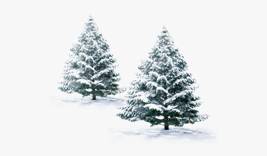 Snow Christmas Tree Png, Transparent Png , Transparent Png Image - PNGitem